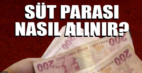 Süt Parası Nereye Yatar? Kimler Alabilir? - Süpürge.Net! Haber
